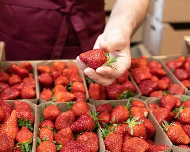 Impact | Tufts Solutions